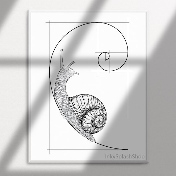 Fibonacci Spiral In Art