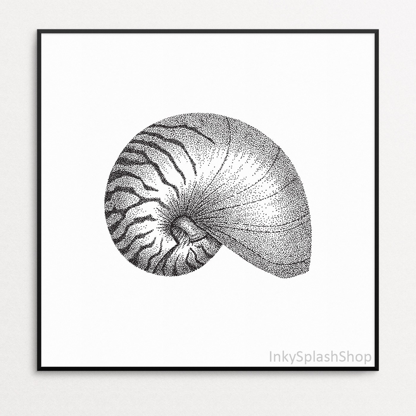 How To Draw A Seashell Spiral