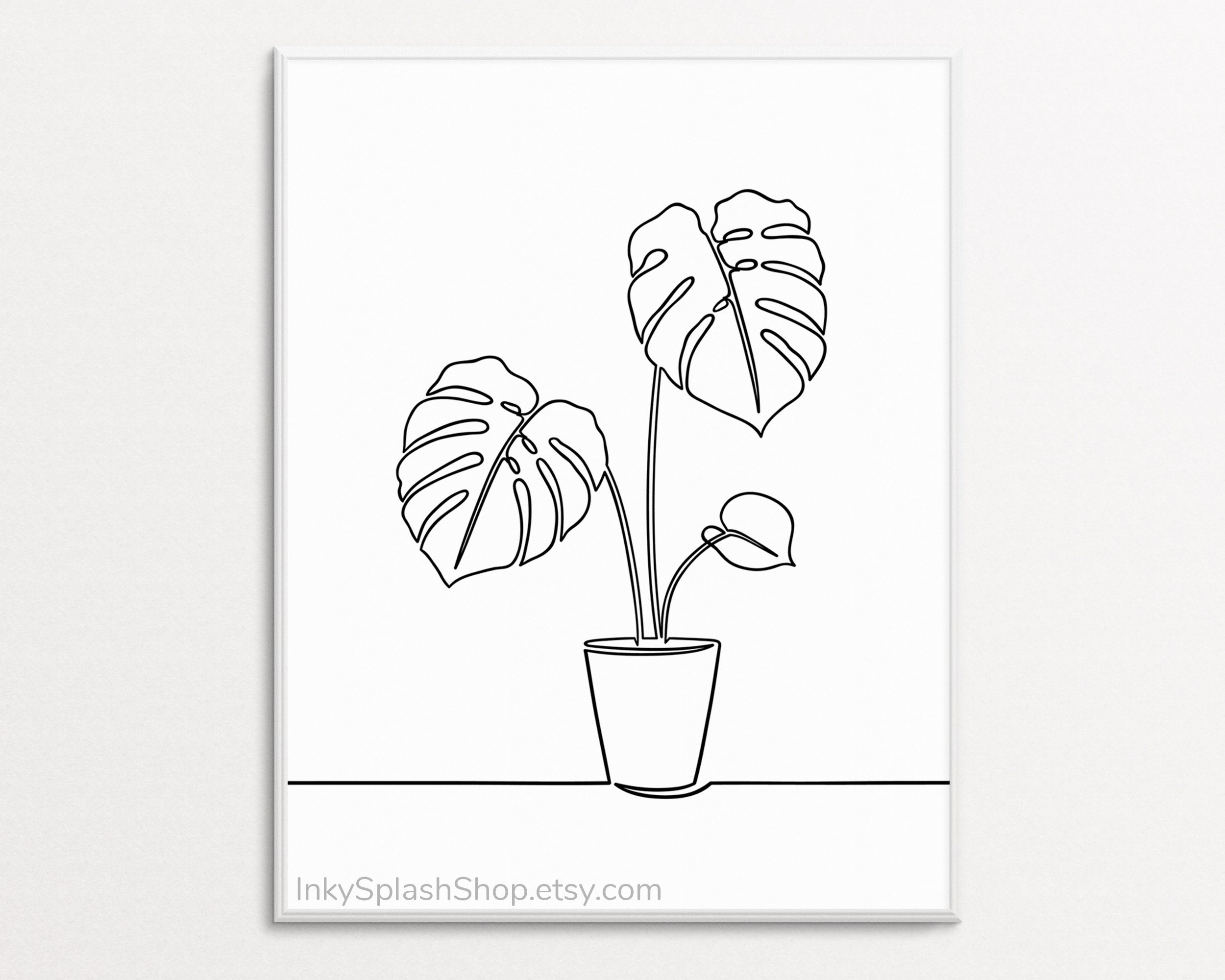 Monstera Deliciosa Drawing