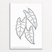 Alocasia Leaves One Line Art. Tropical Plant Drawing. Minimalist Wall ...