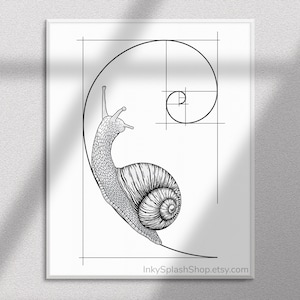Snail on Fibonacci Spiral Wall Art Printable Golden Ratio Artwork ...