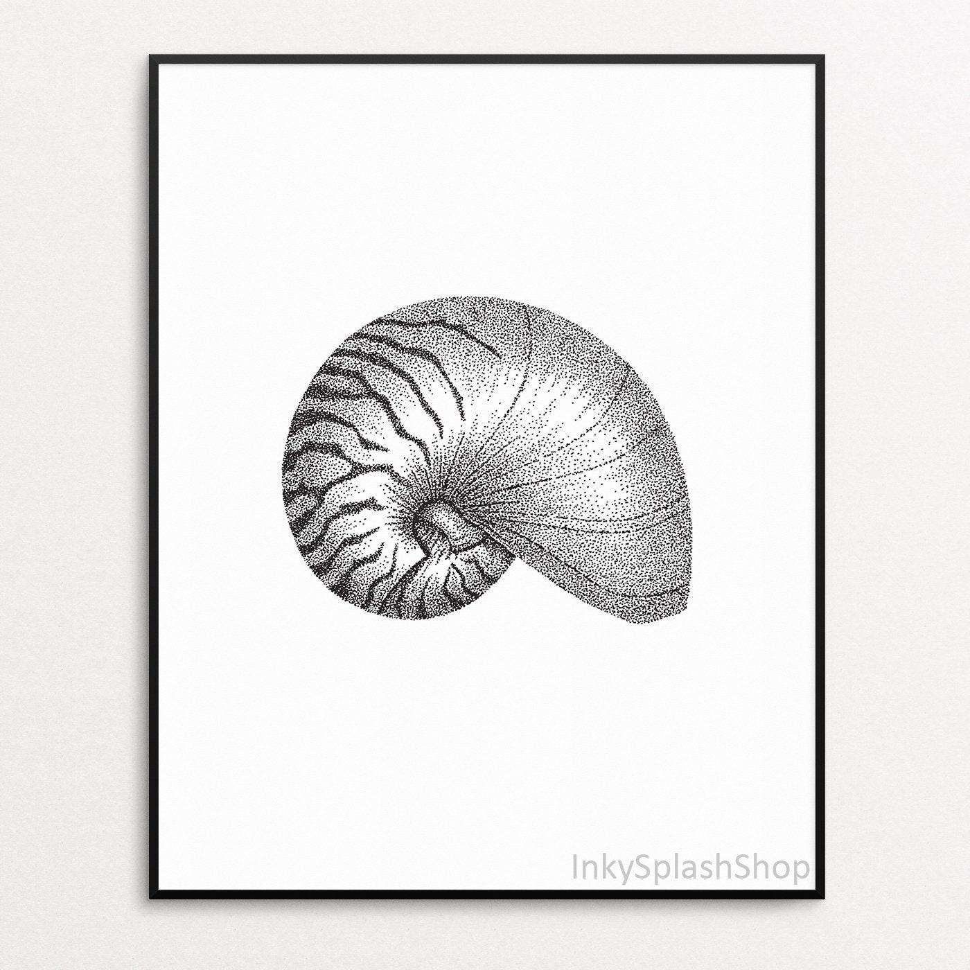 Seashell Print Nautilus Shell Ink Drawing Coastal Wall Art Printable ...