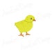 Chick Embroidery Design. Chick Silhouette. Mini Chick. Chick Design ...