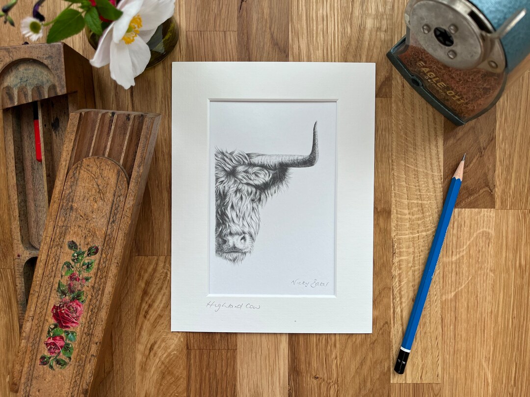 Highland Cow Pencil Drawing Monochrome Fine Art Print Available in 3 ...
