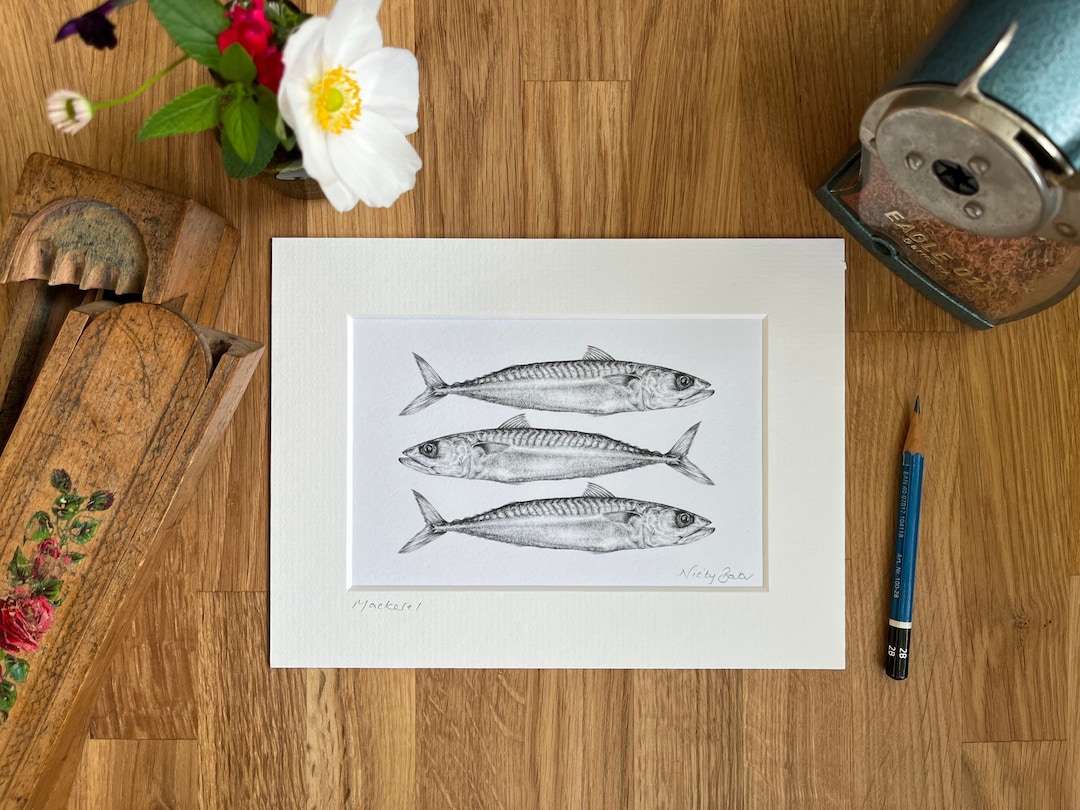 Mackerel Pencil Drawing Monochrome Fine Art Print Available in 3 Sizes ...