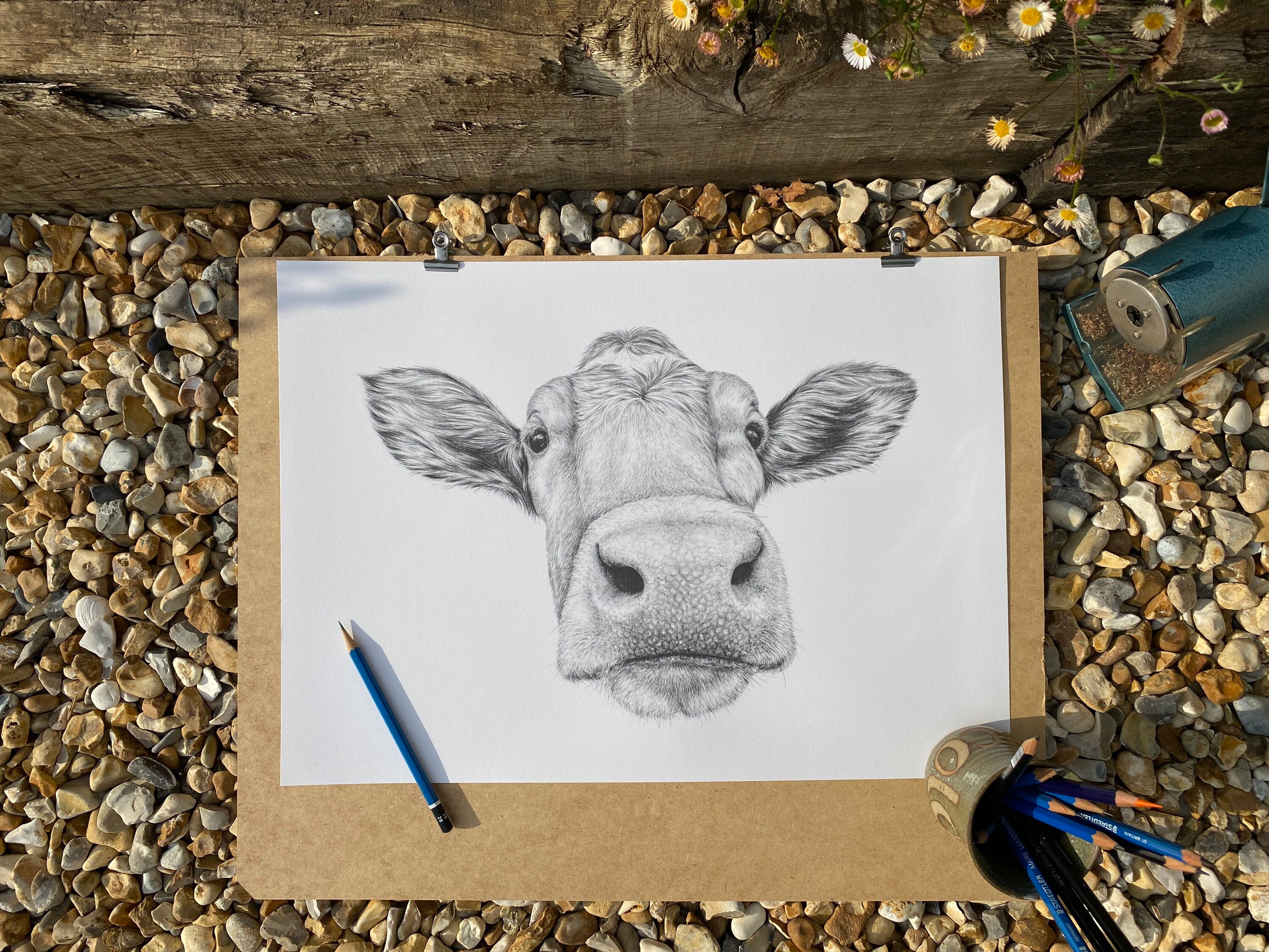 A3 Guernsey Cow Pencil Drawing Fine Art Monochrome Print | Etsy