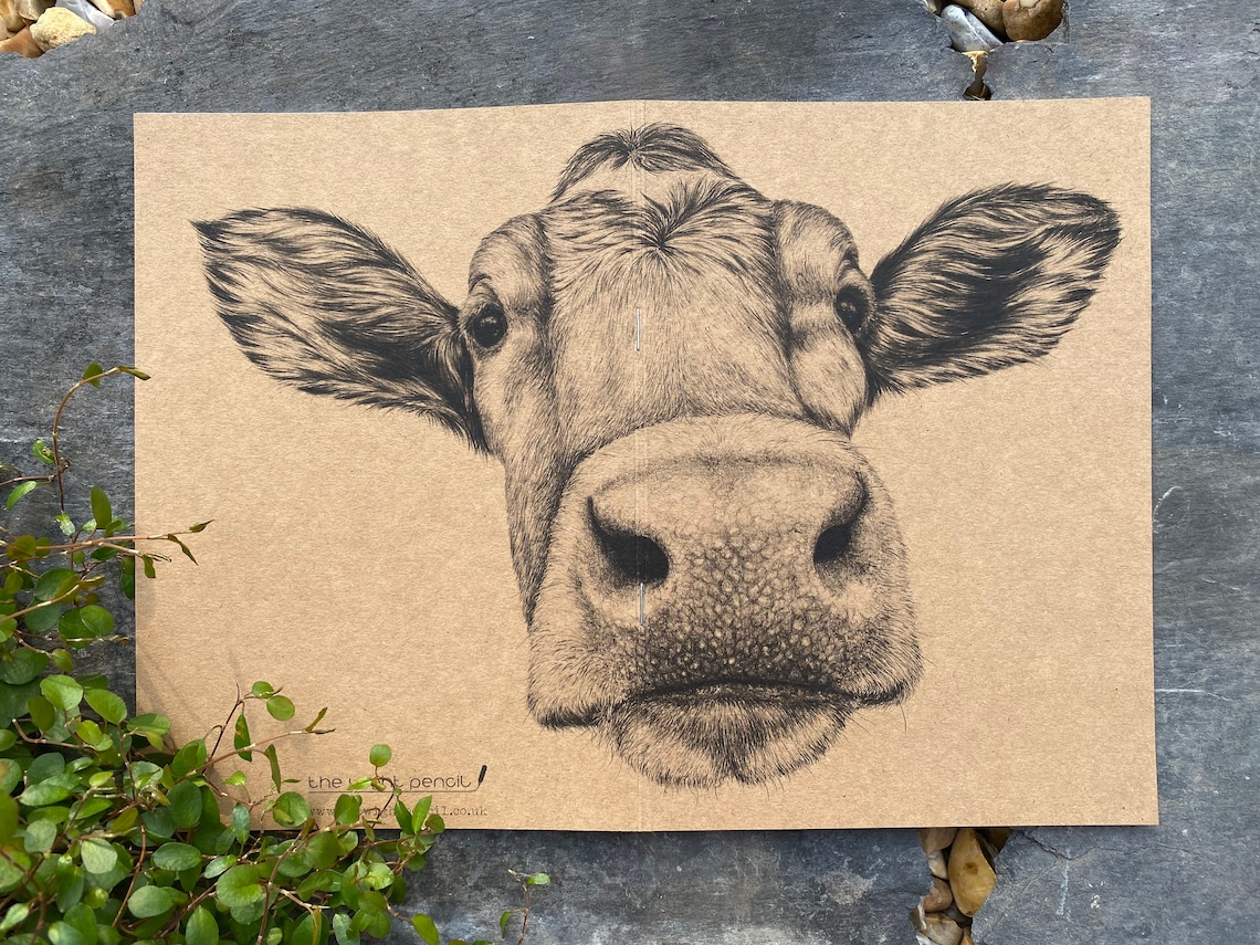 A5 Kraft Notebook Guernsey Cow Pencil Drawing | Etsy