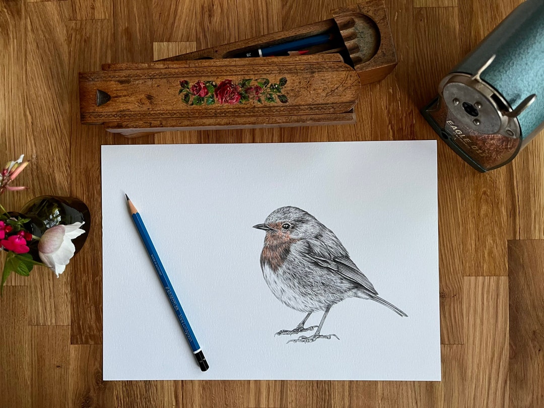 A4 Robin Pencil Drawing Fine Art Print to Fit 10x8 Aperture - Etsy UK