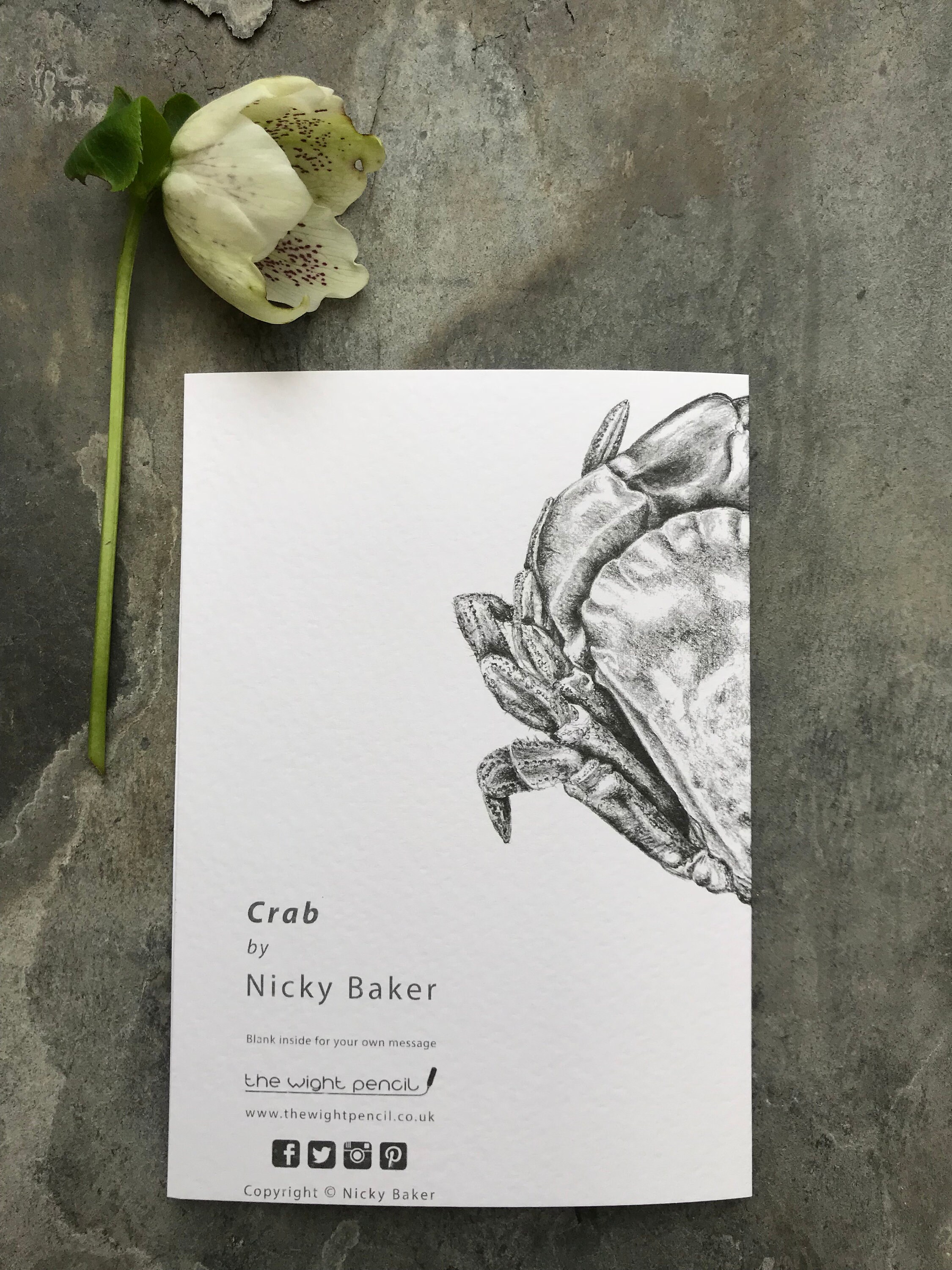 Crab Blank Greetings Card from Original Pencil Drawing | Etsy