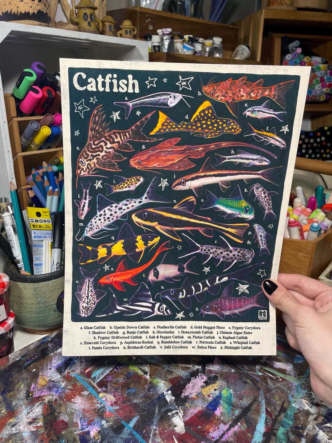 CATFISH! | Fish Identification Wall Art Print Poster 8.5x11 - Etsy