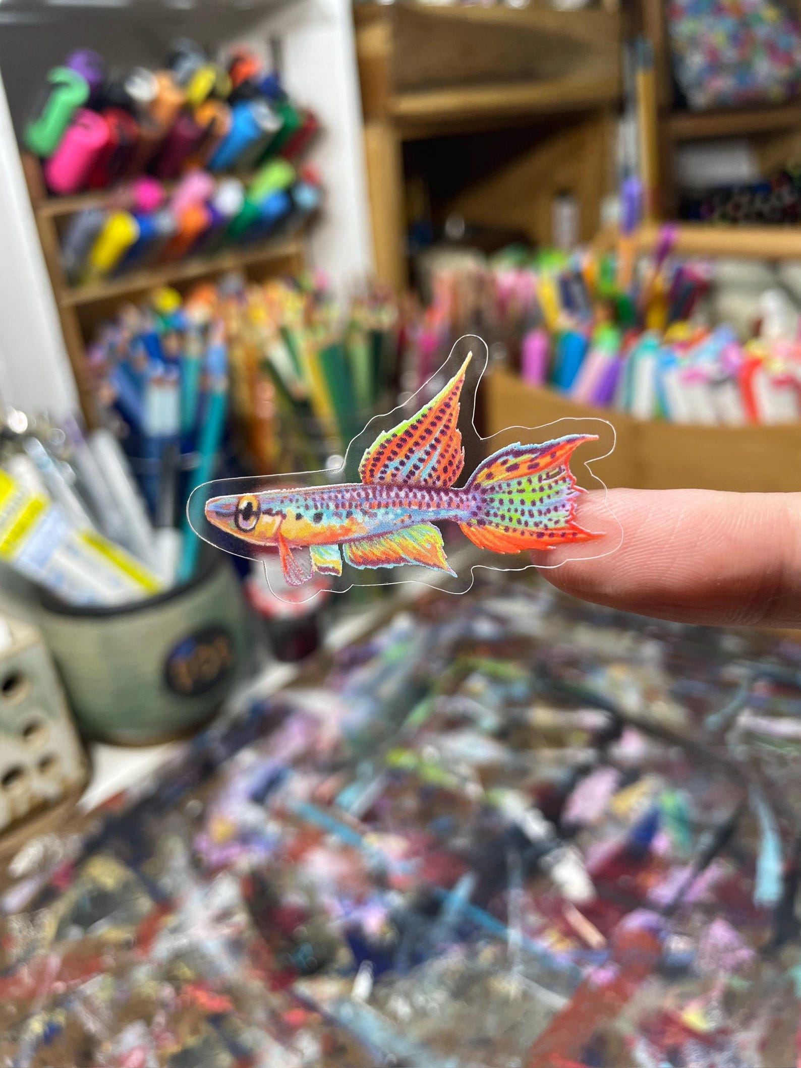 Killifish Sticker Sheet | Clear Transparent Aquarium Fish Stickers - Etsy