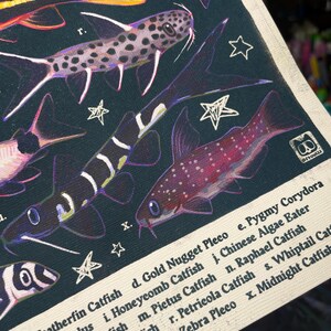 CATFISH! | Fish Identification Wall Art Print Poster 8.5x11 - Etsy