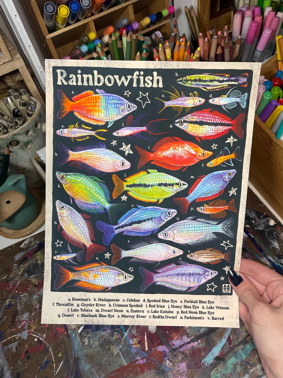 RAINBOWFISH Fish Identification Art Print Poster 8.5x11 - Etsy