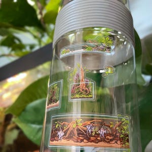 Terrarium Aquarium Sticker Sheet VIVARIUMS | Clear Transparent Stickers ...