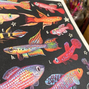 Killifish Poster | Aquarium Fish Species Identification | 8.5x11 Wall ...
