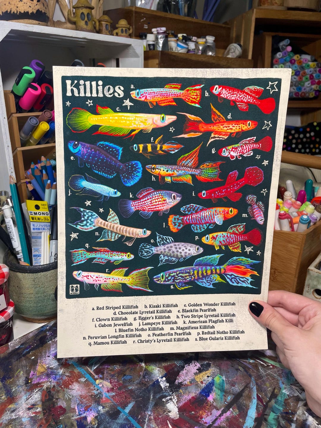 KILLIFISH! | Fish Identification Wall Art Print Poster 8.5x11 - Etsy