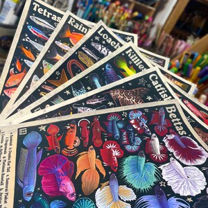 CATFISH! | Fish Identification Wall Art Print Poster 8.5x11 - Etsy