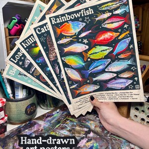 CATFISH! | Fish Identification Wall Art Print Poster 8.5x11 - Etsy