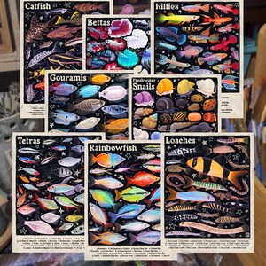 MULTI PACK Aquarium Fish Identification Posters | 8.5x11 Wall Art ...