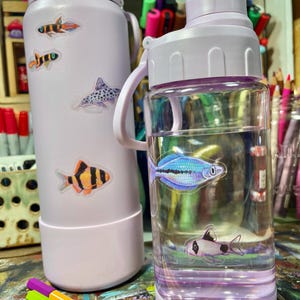 Killifish Sticker Sheet | Clear Transparent Aquarium Fish Stickers - Etsy