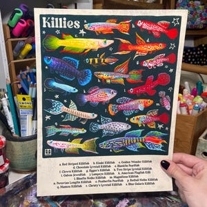 MULTI PACK Aquarium Fish Identification Wall Posters 8.5x11 | Art ...