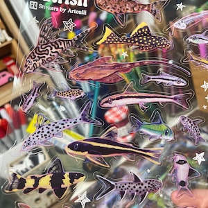 Catfish Sticker Sheet | Clear Transparent Aquarium Fish Stickers - Etsy