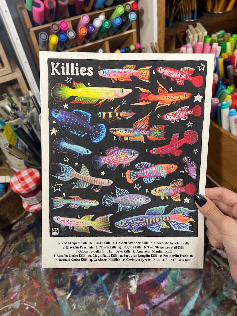 Killifish Poster | Aquarium Fish Species Identification | 8.5x11 Wall ...