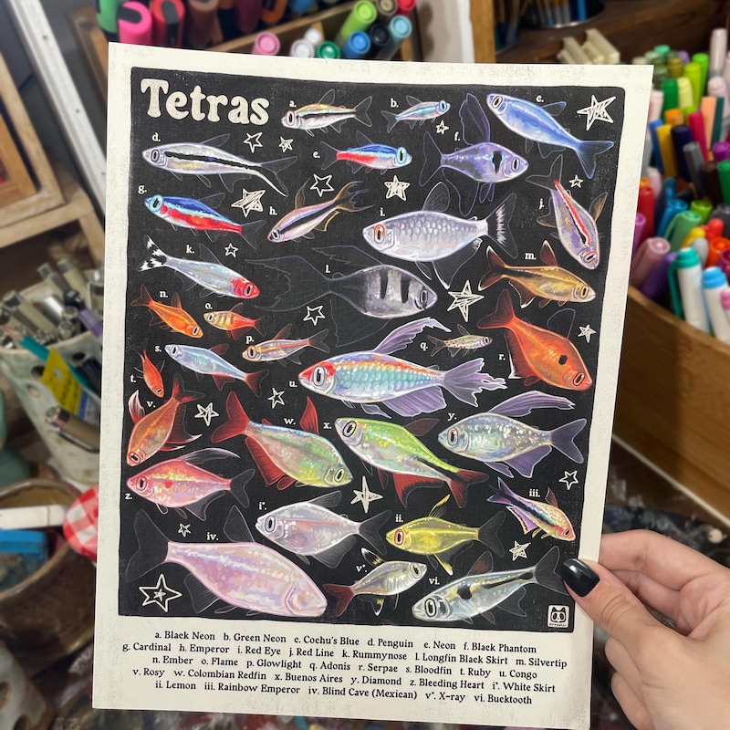 Fish Poster Species - Etsy