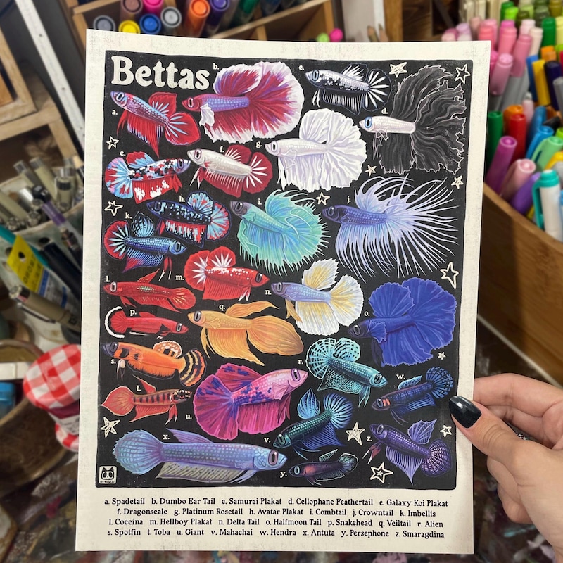 Poster Sports Fish - Etsy UK