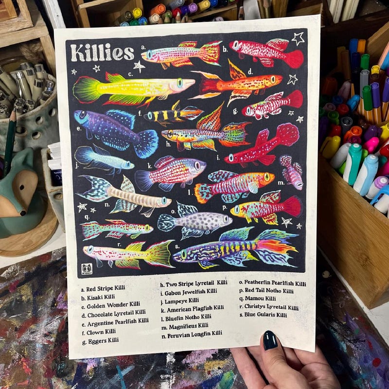 Fish Poster - Etsy