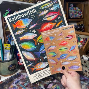 Rainbowfish Poster | Aquarium Fish Species Identification | 8.5x11 Wall ...