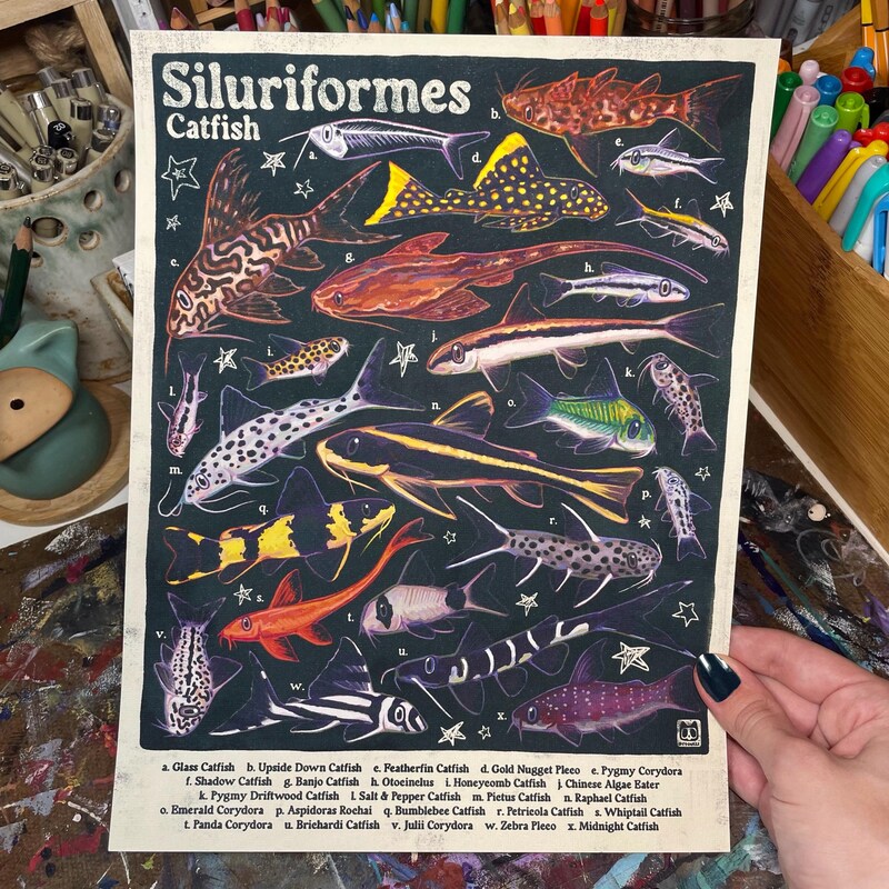 Vintage Fish Poster - Etsy