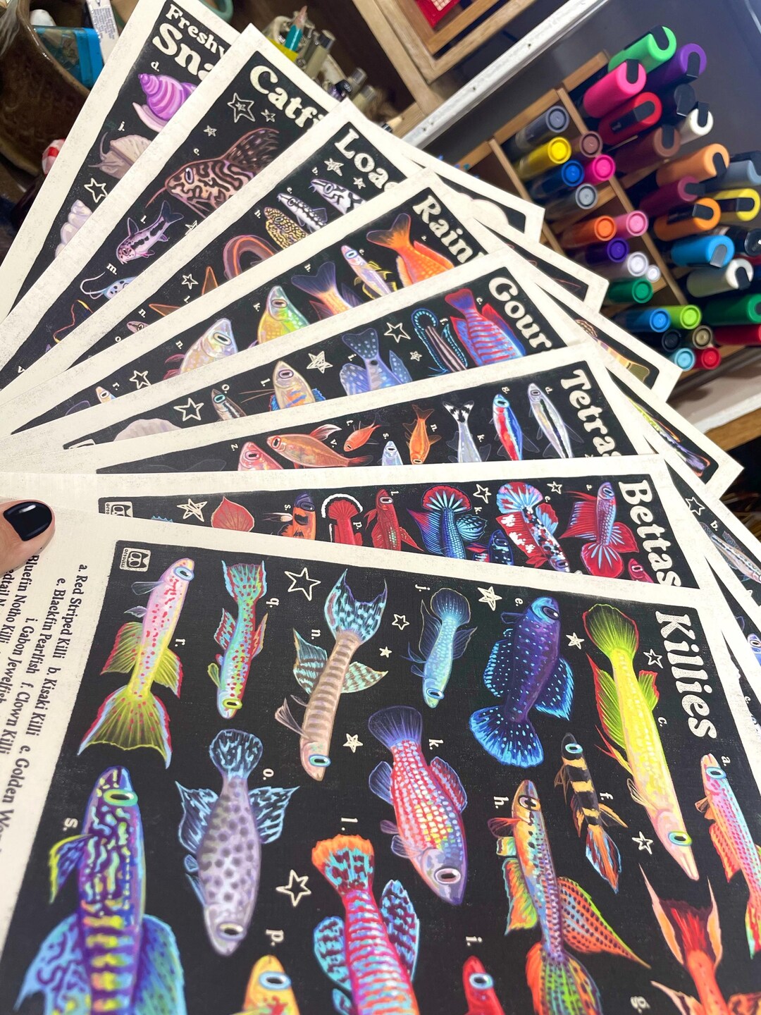 MULTI PACK Aquarium Fish Identification Posters | 8.5x11 Wall Art ...