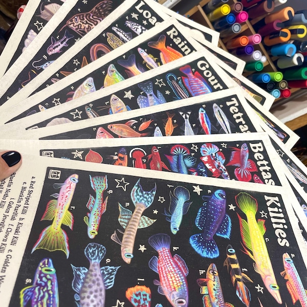 Fish Posters - Etsy