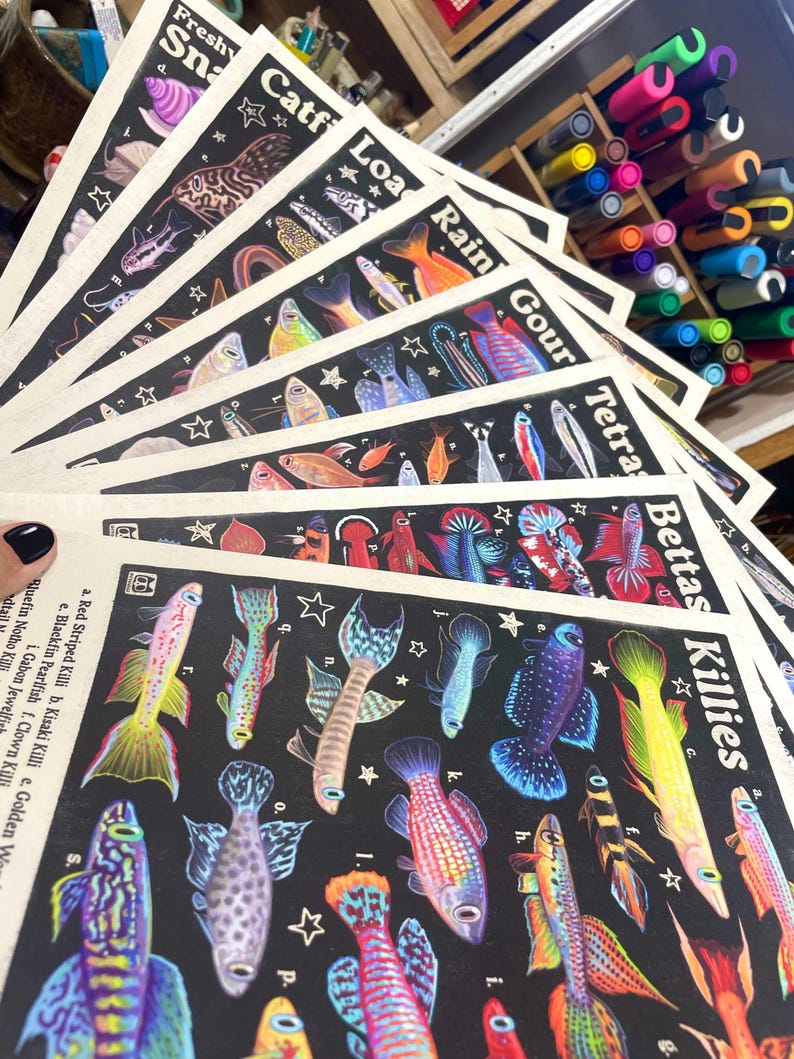 MULTI PACK Aquarium Fish Identification Posters | 8.5x11 Wall Art ...