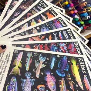 Killifish Poster | Aquarium Fish Species Identification | 8.5x11 Wall ...