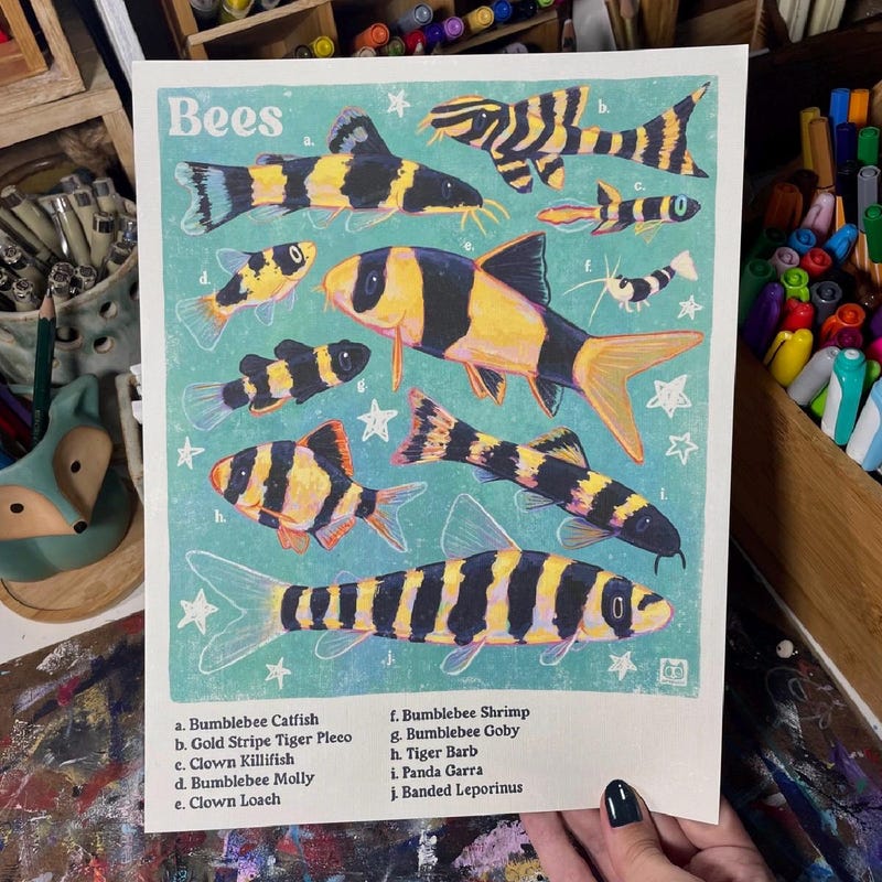 Fish Poster - Etsy