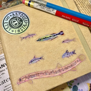 MULTIPACK Clear Aquarium Fish Sticker Sheets | 200+ Transparent ...