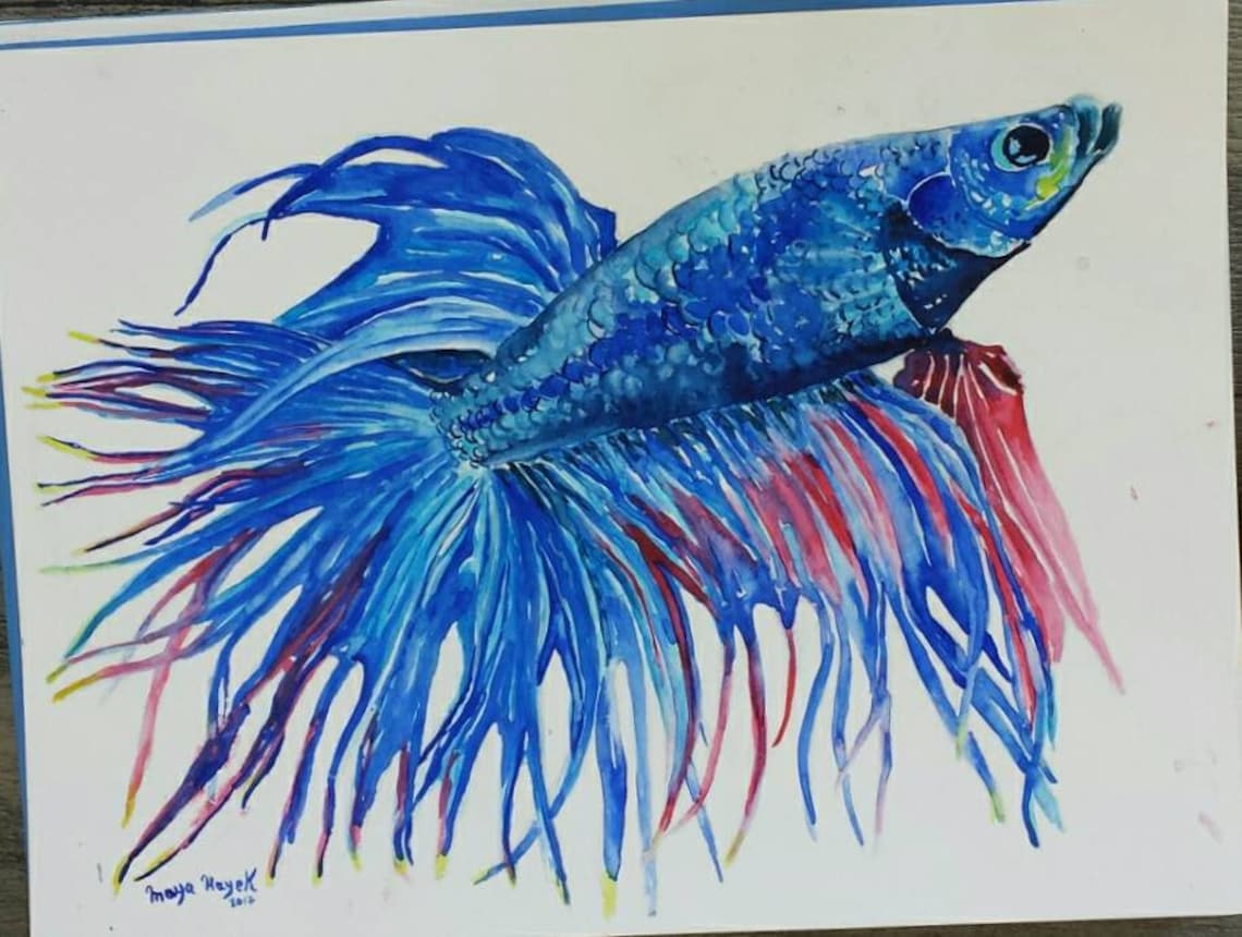Betta Fish Painting, Fish Watercolor, Exotic Fish Painting, Fish Art ...