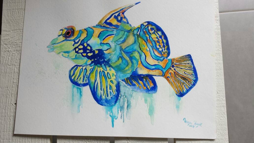 Mandarin Fish Drawing