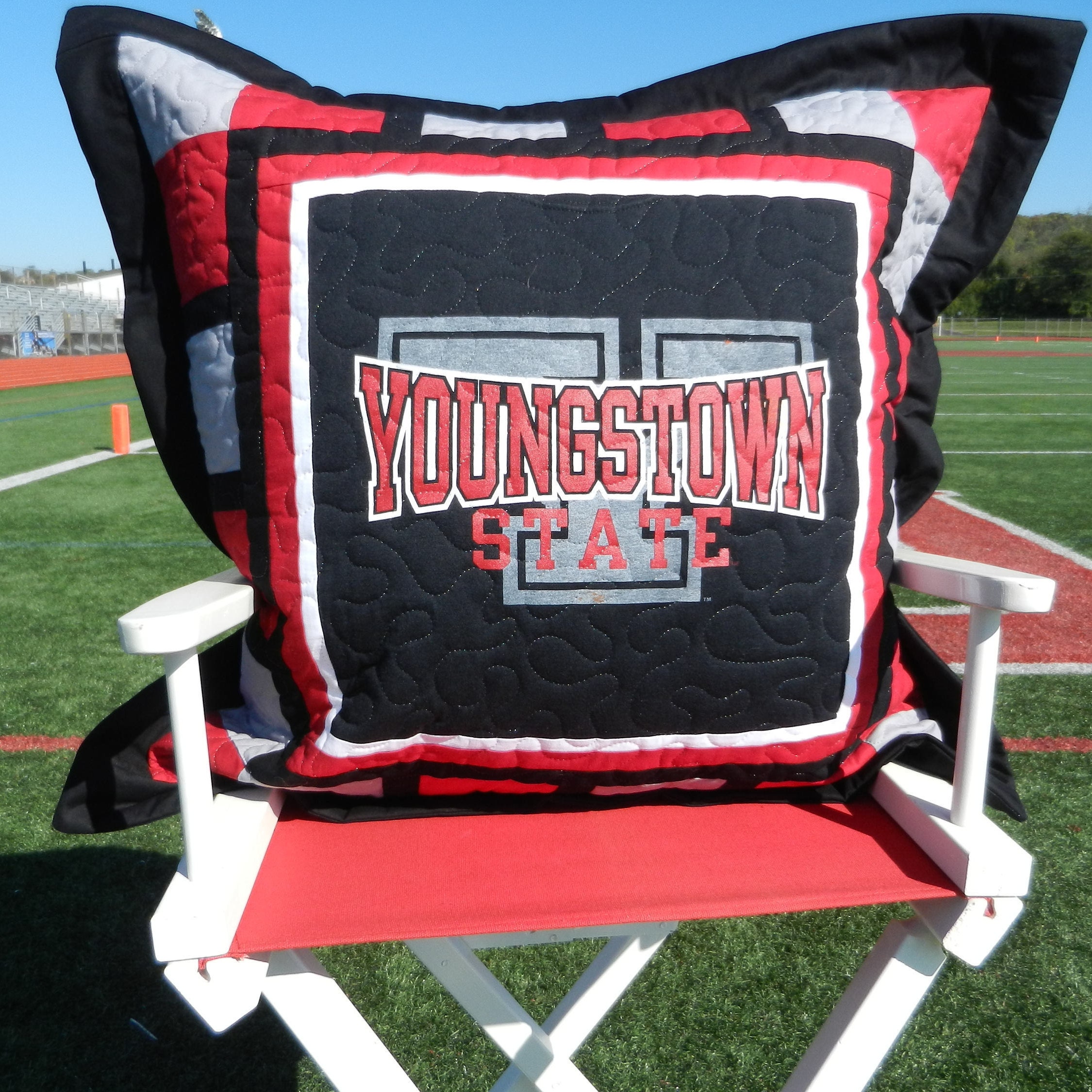 Youngstown State University, YSU, Pete the Penguin, Penguins ...