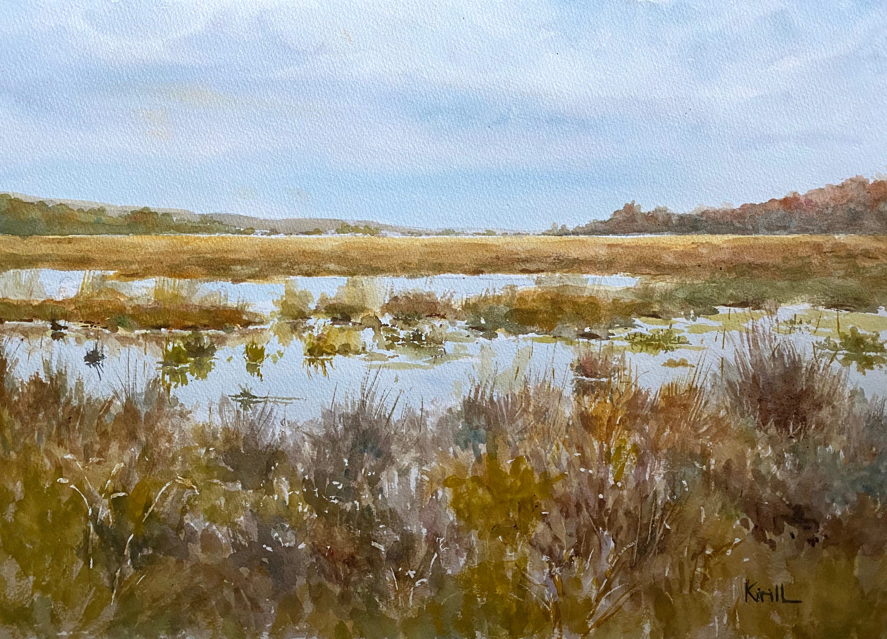 Marsh in Autumn Watercolor Landscape Painting, Wetland Tall Grass, Blue ...