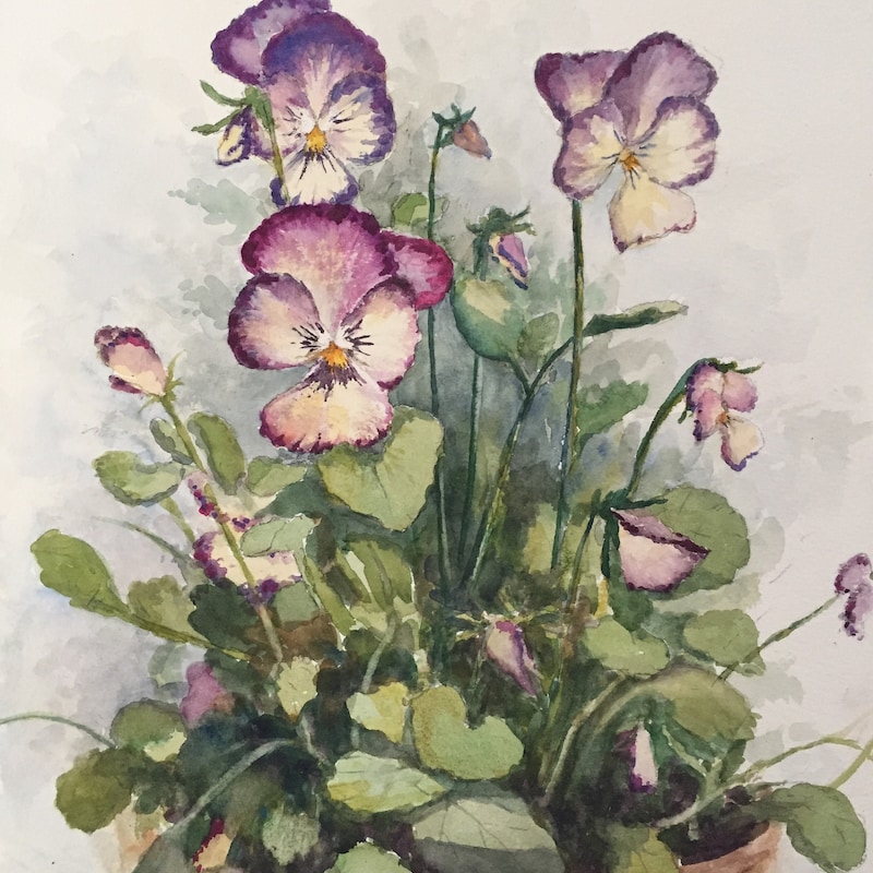 Pansy Painting - Etsy