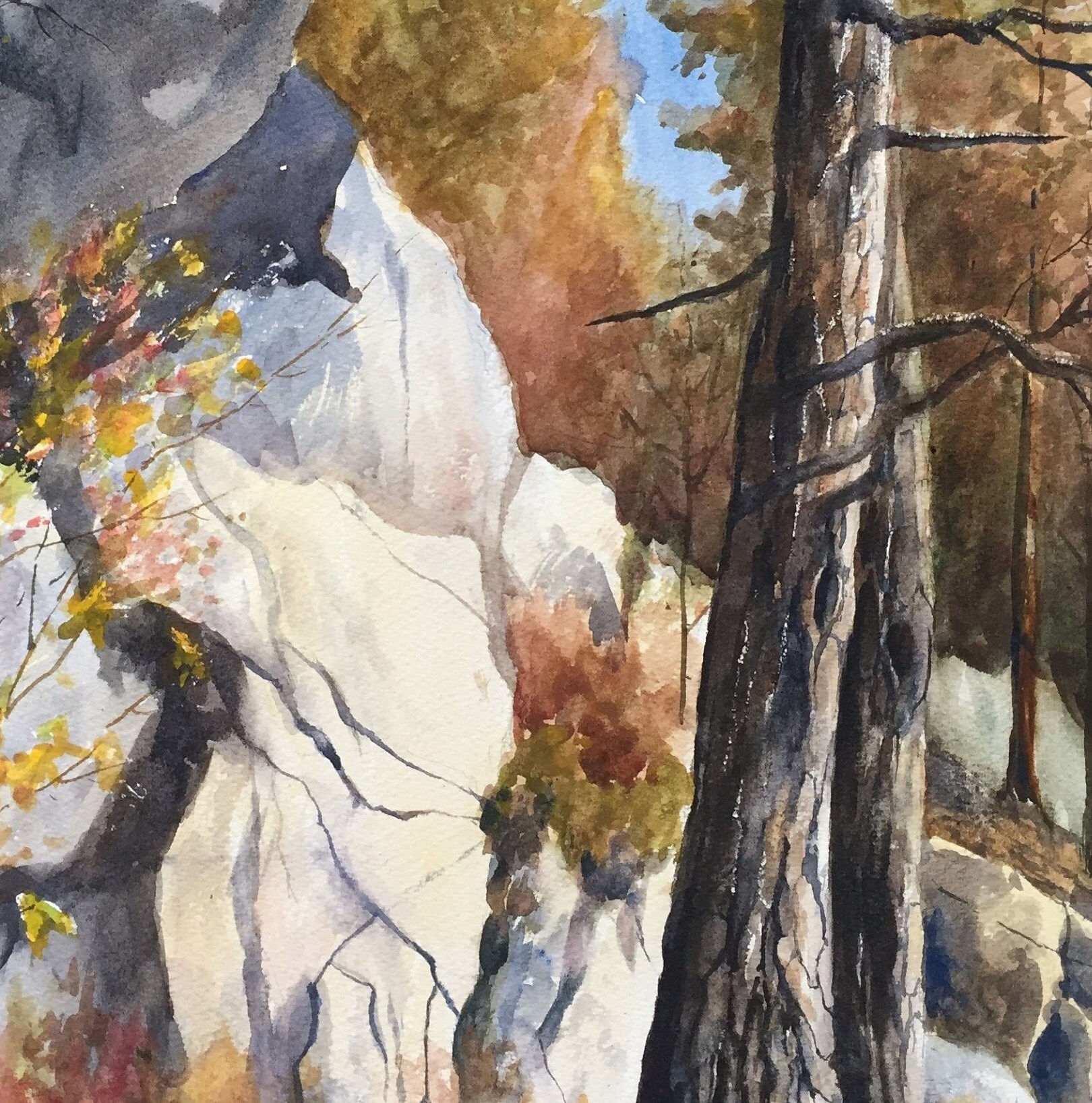 Boulder Watercolor Painting, Tree Bark Painting, Autumn Forest ...