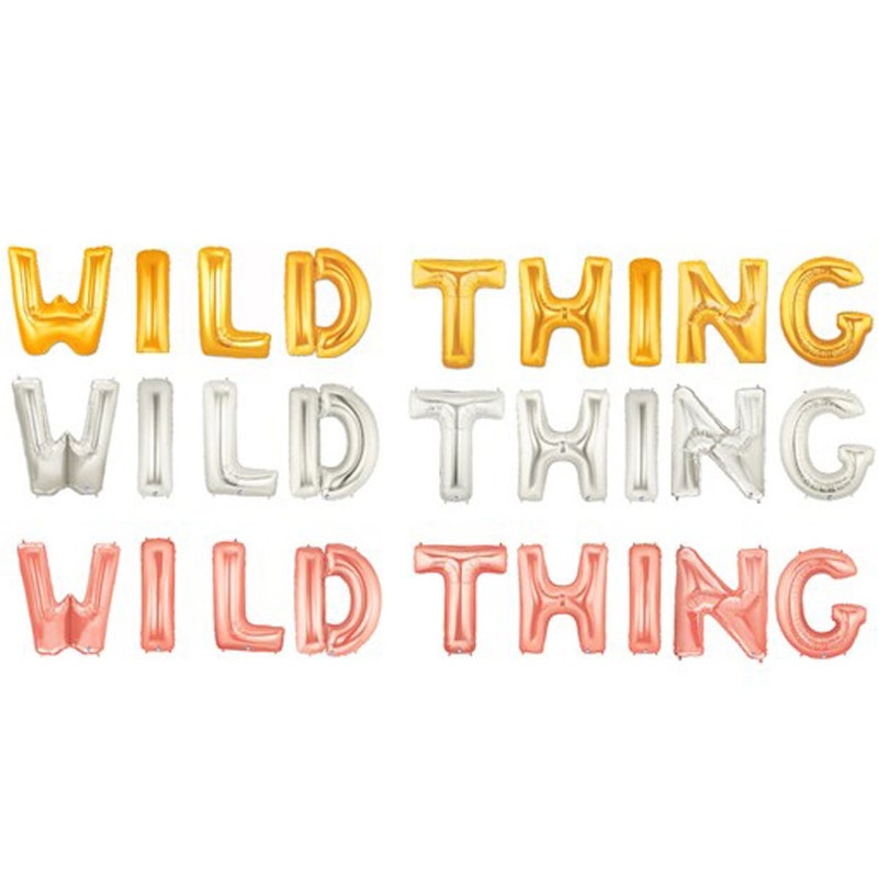 Wild One Balloon - Etsy