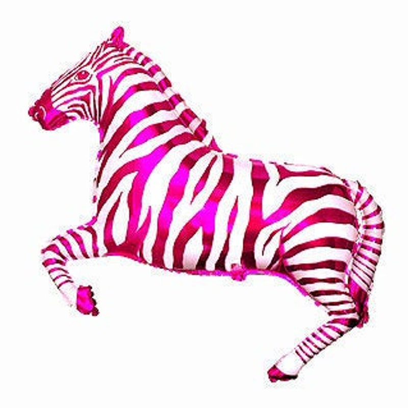 Zebra Theme Party - Etsy