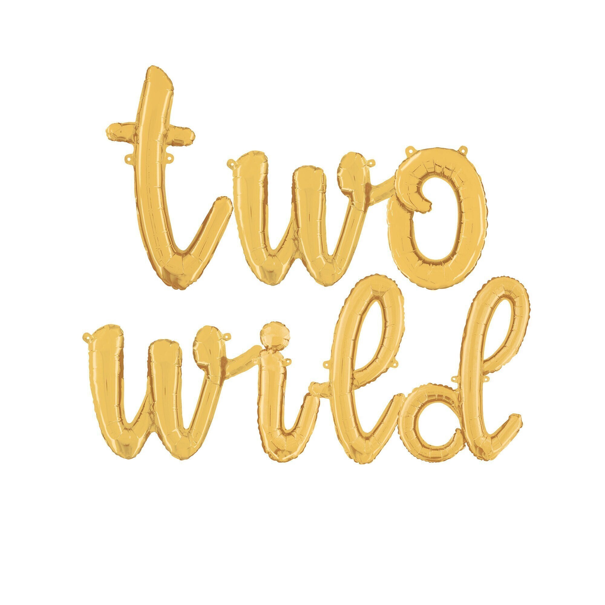 Script TWO WILD Balloons Jungle Birthday Party Two Wild Theme | Etsy