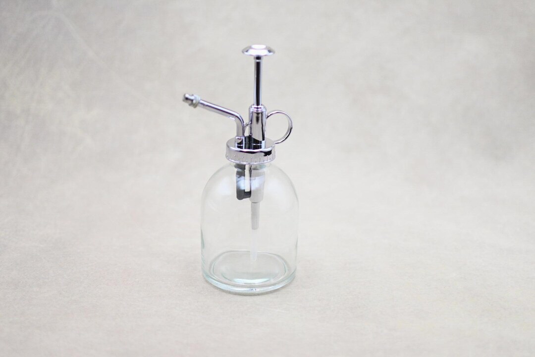 Glass Plant Mister, Plant Mister, Garden Mister, Indoor Plant Mister ...