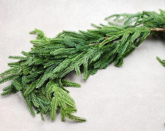 6' Norfolk Real Touch Garland, Pine Greenery, Artificial Christmas ...