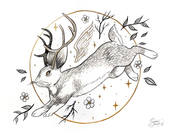 Jackalope Line Drawing